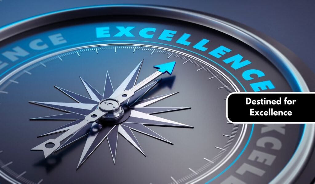 Top 4 Zodiac Signs Destined for Excellence